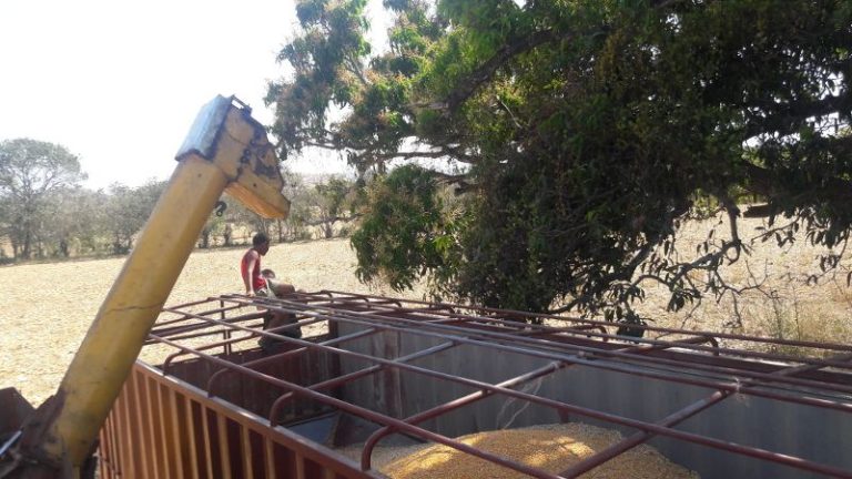 Municipio – Municipio de Guararé